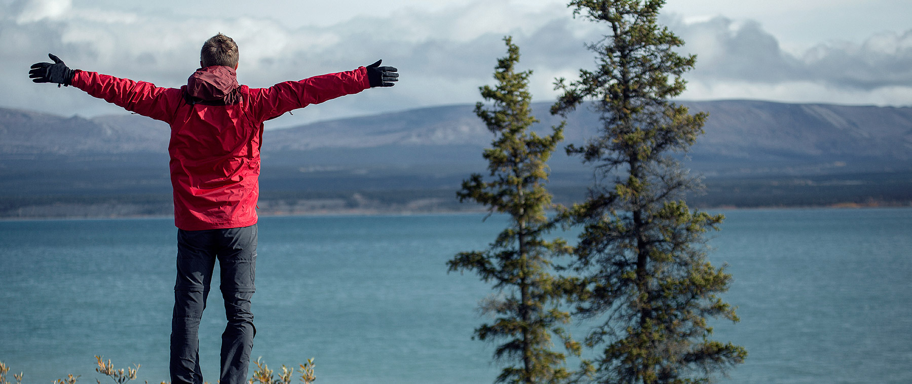 För hälsa - Absolent - Sverige